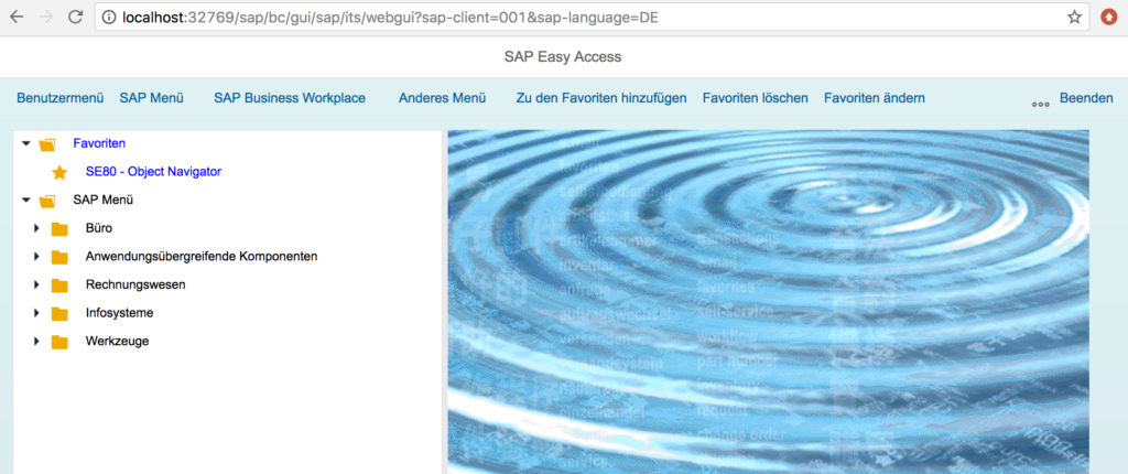 Connect to NetWeaver ABAP instance inside Docker | It's full of stars!