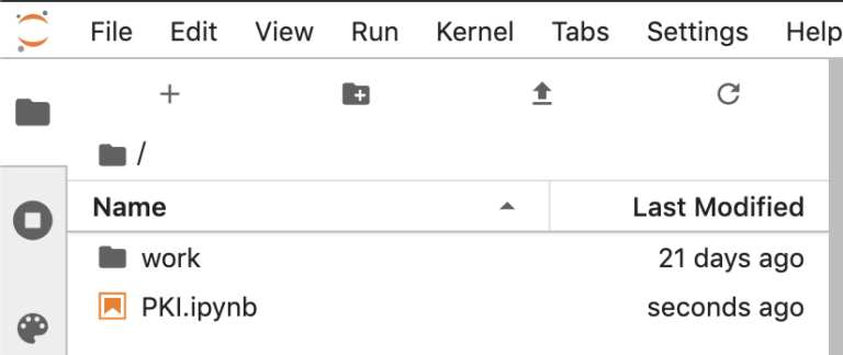 PKI with OpenSSL: Howto using Jupyter Notebook | It's full of stars!