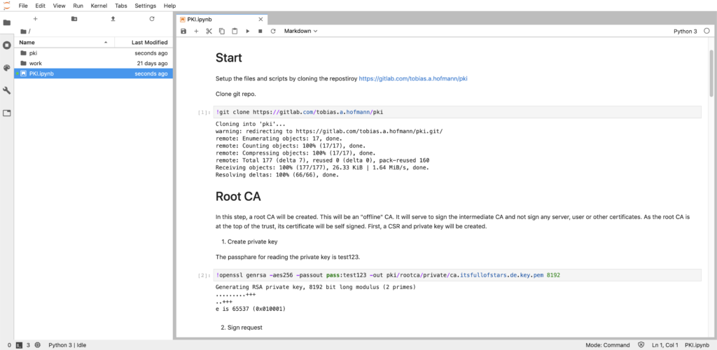PKI with OpenSSL: Howto using Jupyter Notebook | It's full of stars!